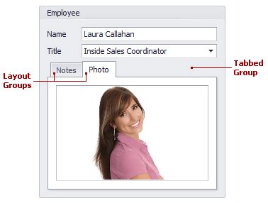 Tabbed Groups Winforms Controls Devexpress Documentation