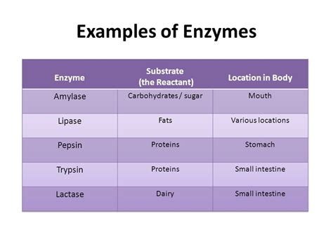 Enzyme Definition