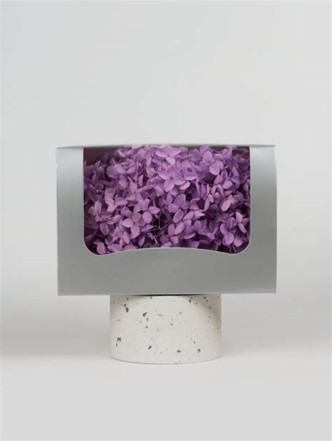 Гортензія стабілізована бузкова купити за ціною 499 грн • Dfb Elements Україна