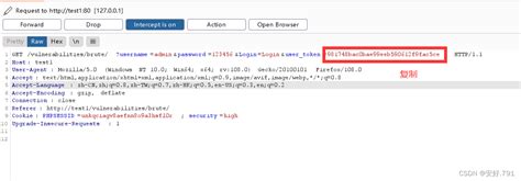 Dvwa——暴力破解bp自带的字典 Csdn博客