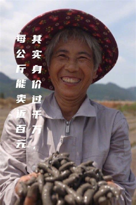 反转虫生每吃一口土笋冻就可以多保护一小片海洋 知乎