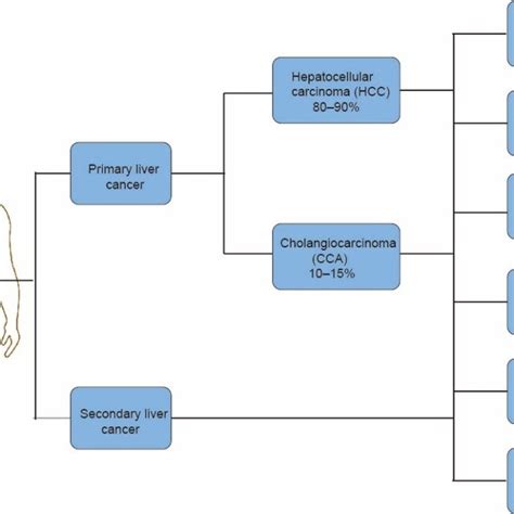 Introduction To Liver Cancer Histological Classification And