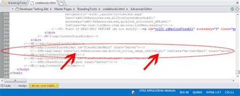 Branding Sharepoint 2013 Tricks 7 Net Code Blocks In Snippets
