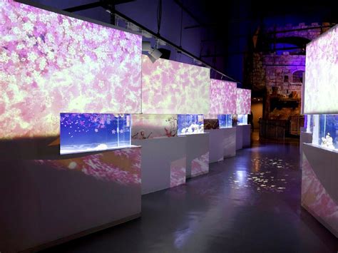 NAKED INC ネイキッド on Twitter 水族館のお花見イベントNAKED SAKURA AQUARIUM開催中