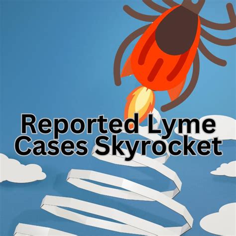 True Number Of Lyme Disease Cases We May Never Know Lyme Disease