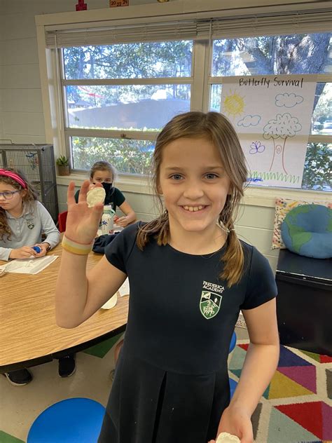 3rd Grade Fossils Lesson Flickr