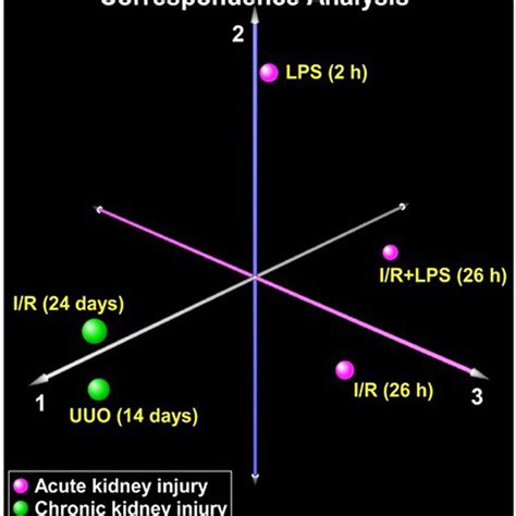 Summarizing Rna Seq Alignment Tools A Rna Seq Alignment Typical Download Scientific Diagram