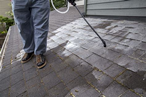 Moss Removal Roof Cleaning Clean House Outdoor Space Treatment