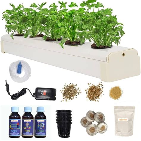 Agroshoppy Hydroponic Kit For Home Garden Perfect At Home Kit For
