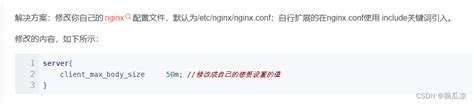 Ruoyi Cloud Plus文件上传报错413异常413错误413 Request Entity Too Large实体内容过大请求页面找不到 Nginx工作笔记006