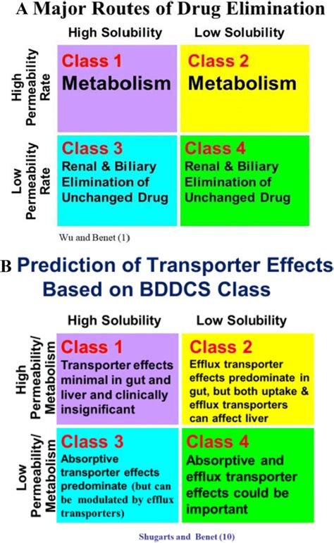 State Of The Art And Uses For The Biopharmaceutics Drug Disposition
