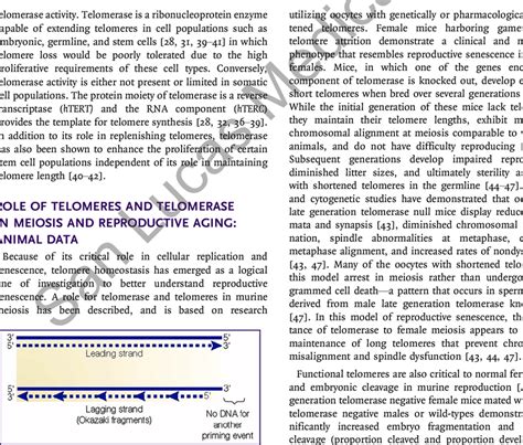 Telomere Primary And Secondary Structure Reprinted With Permission Download Scientific Diagram