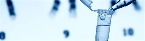 How Do Healthcare Providers Diagnose Fragile X Syndrome NICHD Eunice Kennedy Shriver