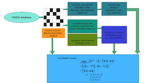 Figure 1 From Multi Similarities Bilinear Matrix Factorization Based Method For Predicting Human