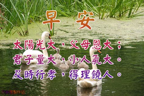 早安圖 000298 早安圖製作站