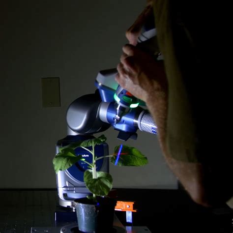 Machine Learning Helps Plant Science Turn Over A New Leaf Salk