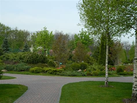 Premium Photo A Path In The Garden With A Tree In The Foreground