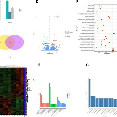 Differential Expression Analysis And Differential Gene Enrichment