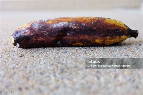 썩은 바나나 포장 배경이나 질감에 오래된 바나나를 과도하게 숙성 건강에 해로운 음식 과일 개념입니다 0명에 대한 스톡 사진 및 기타 이미지 Istock