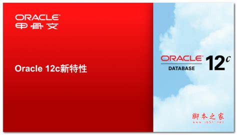 oracle 12c新特性 中文pdf版 电子书 下载 脚本之家