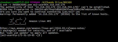 Deploying Docker Containers With Aws Ec2 Instance By Mallireddy