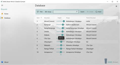 Using The Windows Community Toolkit Datagrid With Winui 3 And Entity Framework Core Xaml