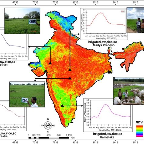 pdf irrigated area maps and statistics of india using remote sensing