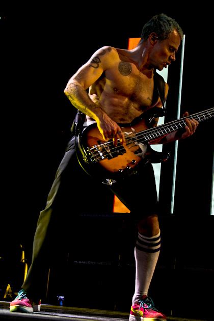 Flea Wikipedija Prosta Enciklopedija