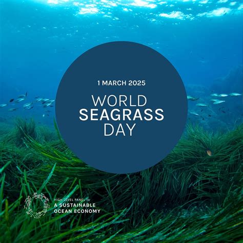 Join The 100 Alliance For Sustainable Oceans Ocean Panel