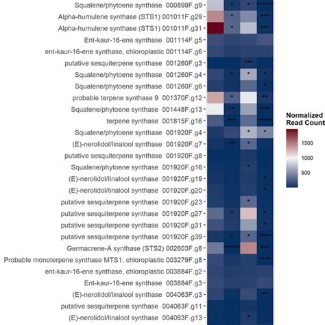 A Heatmap Of Normalized Read Counts For Transcripts Putatively Download Scientific Diagram