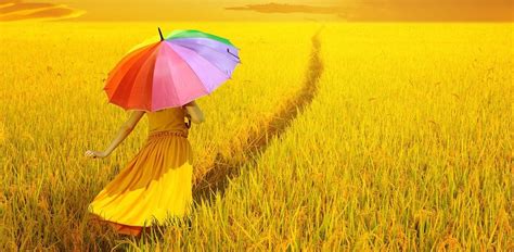 Колеж за овластяване Скъпи приятели днес извоювахме малка но важна победа Софийският