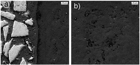 Sem Micrographs For A Coatingsubstrate Interface And B Substrate