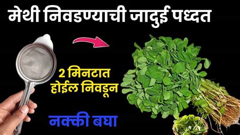 मेथी निवडण्याची जादुई पध्दत 2 मिनिटांत होईल निवडून नक्की बघा