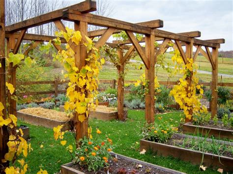 11 Rooftop Shade Structures Ideas Shade Structure Backyard Garden