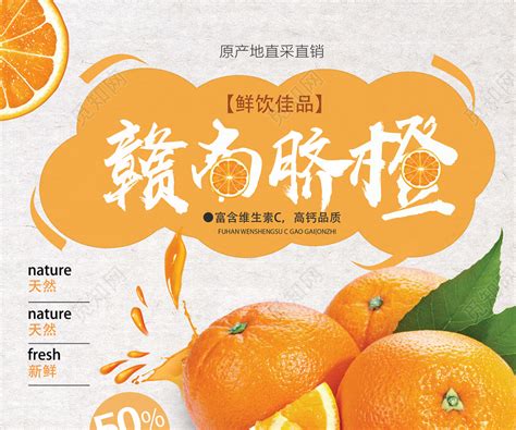 白色小清新赣南脐橙水果橙子海报图片下载 觅知网