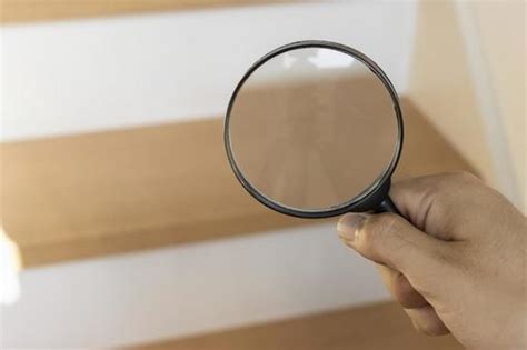 무료 사진 제목