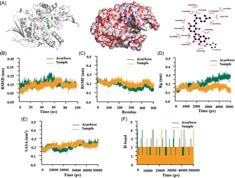 Schematic Diagram Of Molecular Docking And Molecular Dynamics A The