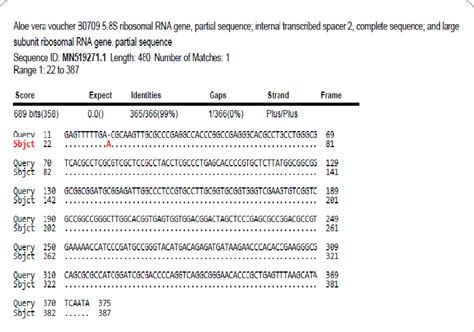 Aloe Saudiarabica Query Sequence Alignment And Aloe Vera Subject