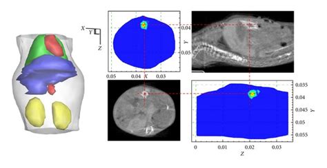 The Reconstruction Results The Results Are Shown In The Form Of Download Scientific Diagram