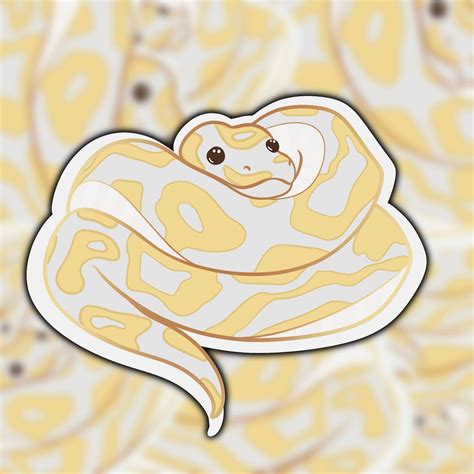 Sticker Large Banana Ball Python Aesthetic Stickers Snake Etsy