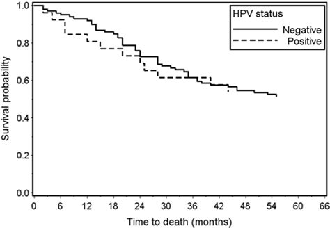 Linear Array Hpv Genotyping Test Semantic Scholar