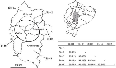 Distribution Of 5 Haplotypes And Sequence Identity Between Each Pair Of