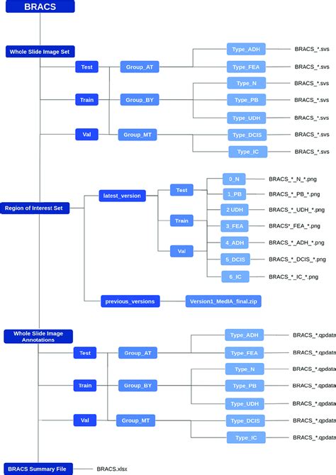 The Organization Of Bracs Dataset Folders Download Scientific Diagram