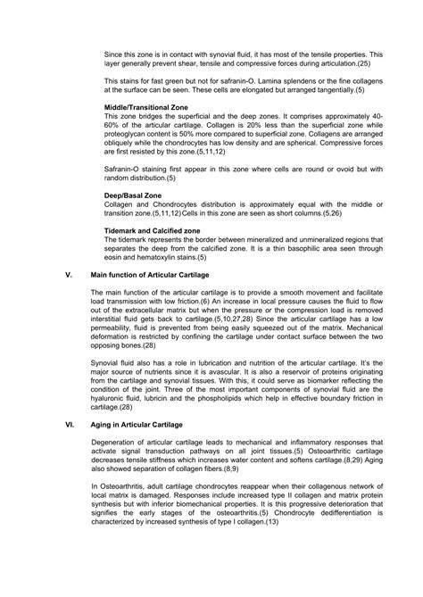 Anatomy And Function Of Articular Cartilage Dottor Alberto Gobbi O