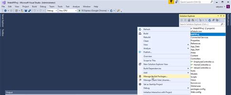 Implement Swagger Ui In Asp Net Web Api Restful Service For Documentation Using Swashbuckle