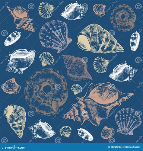 Seashell Sketch Vector Illustration 244897956