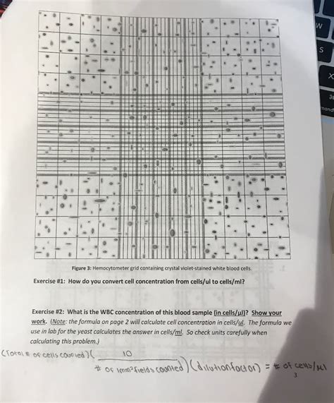 Solved White Blood Cell Wbc Count Suppose You Have