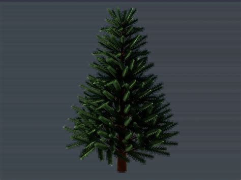 Pine Tree 3d Model 3d Models World