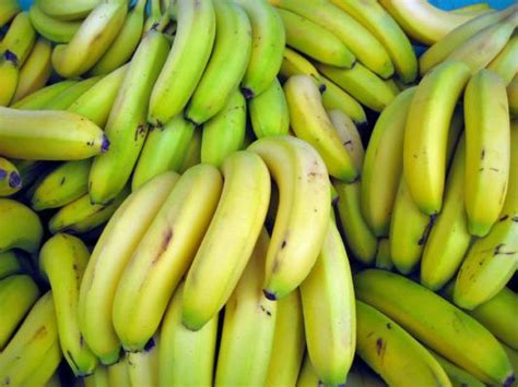 Extending The Shelf Life Of Banana Cv Ecozensolutions
