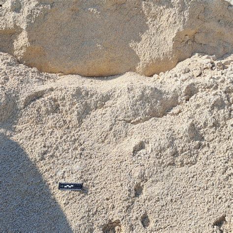 Sable 05 Concassé Calcaire Premium Livré En 48h Au Meilleur Prix